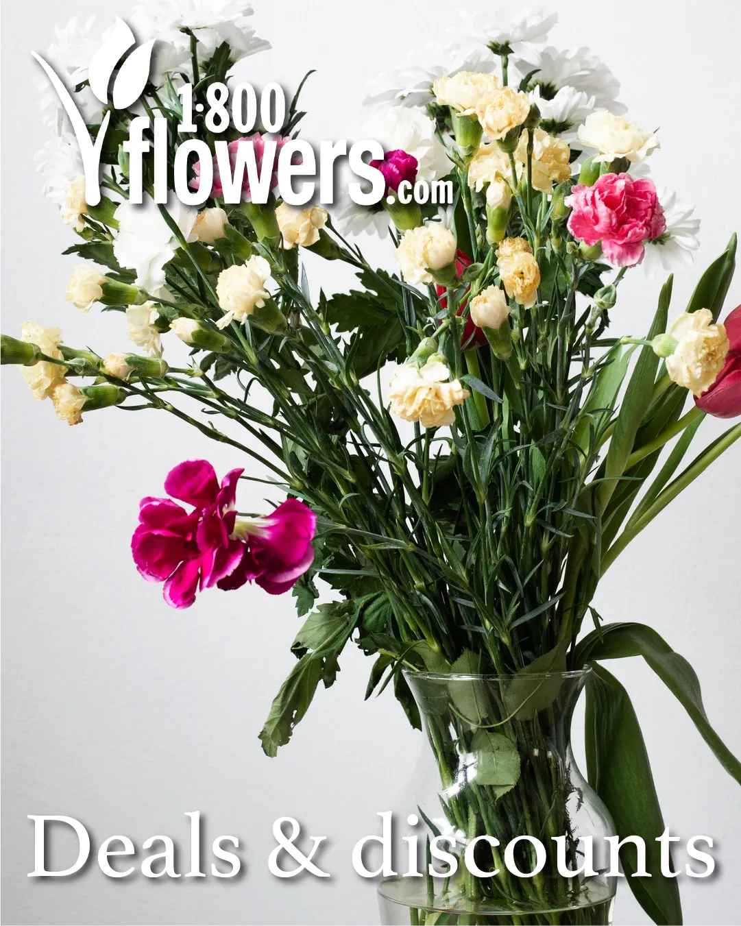 Weekly Deals at 1-800 Flowers: Top Floral and Gifting Offers