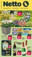 Wöchentliche Angebote bei Netto – Aktuelle Flyer, Rabatte ...